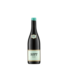 Pinoit Noir Réserve von Weingut Kopp